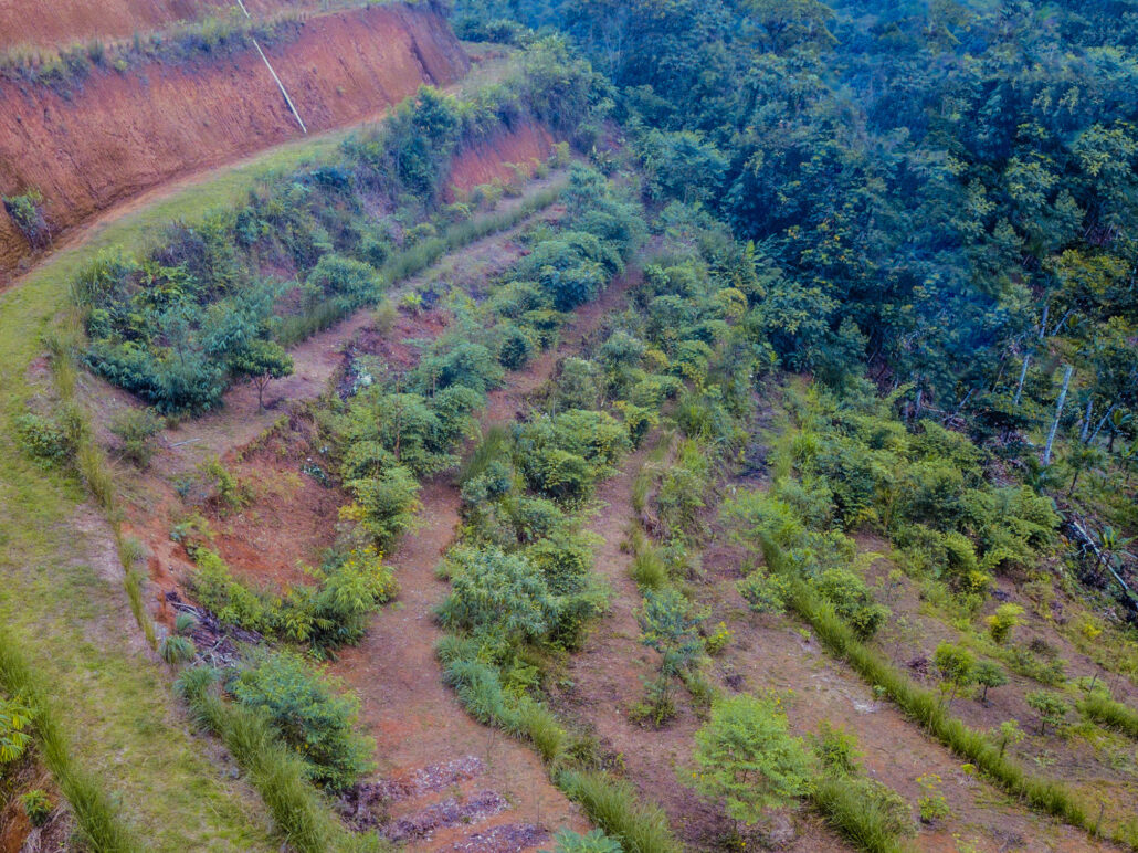 2 Year Transformation With Bamboo - ThinkBamboo