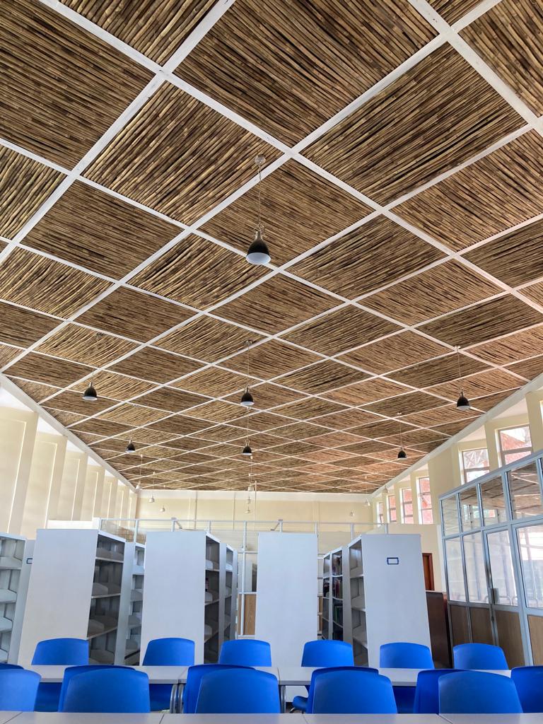 Exploring the Challenges and Opportunities in Uganda's Bamboo Industry ...