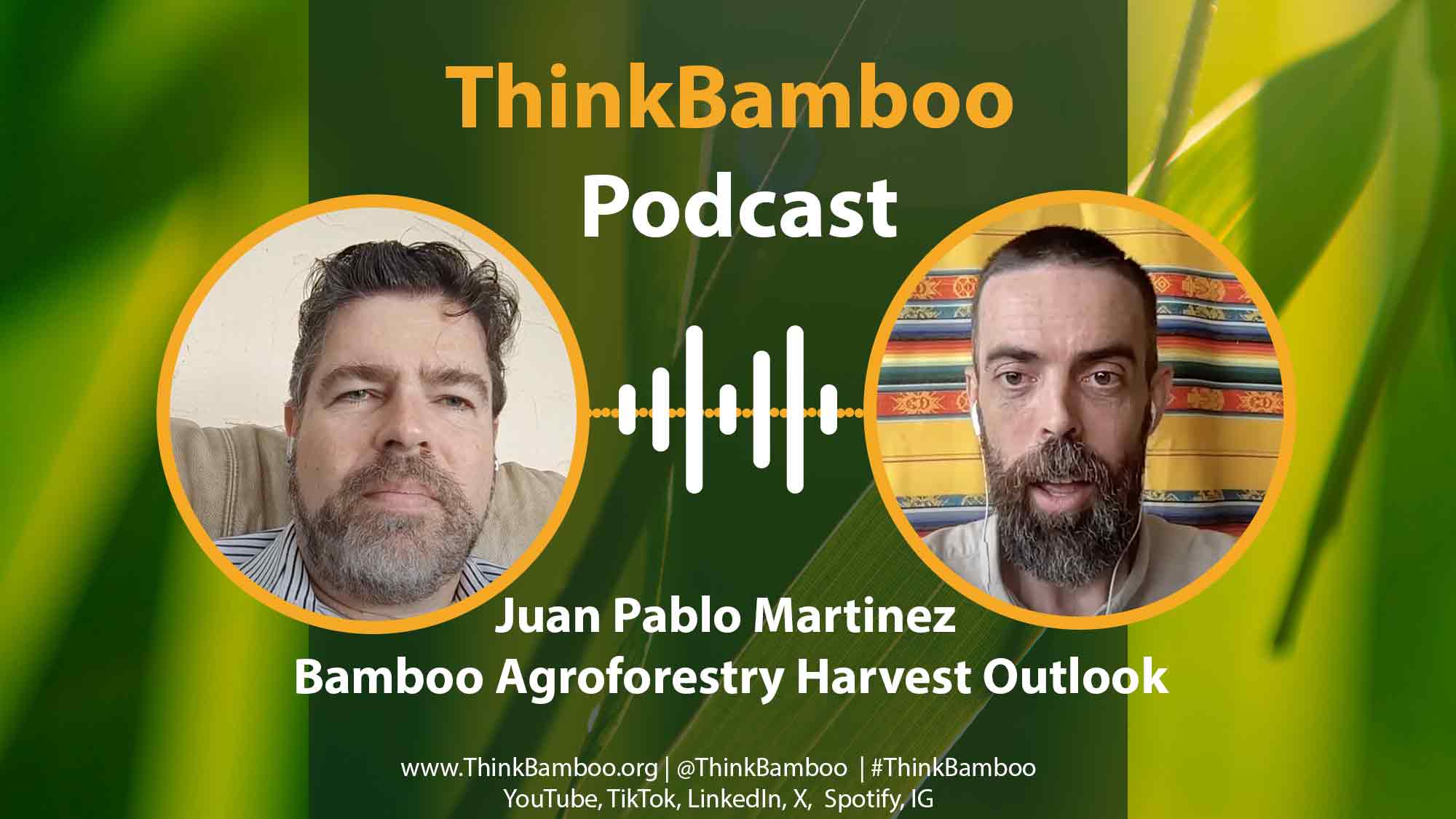 Enhancing Growth With Wübu Bamboo: The Agroforestry Product Forecast ...