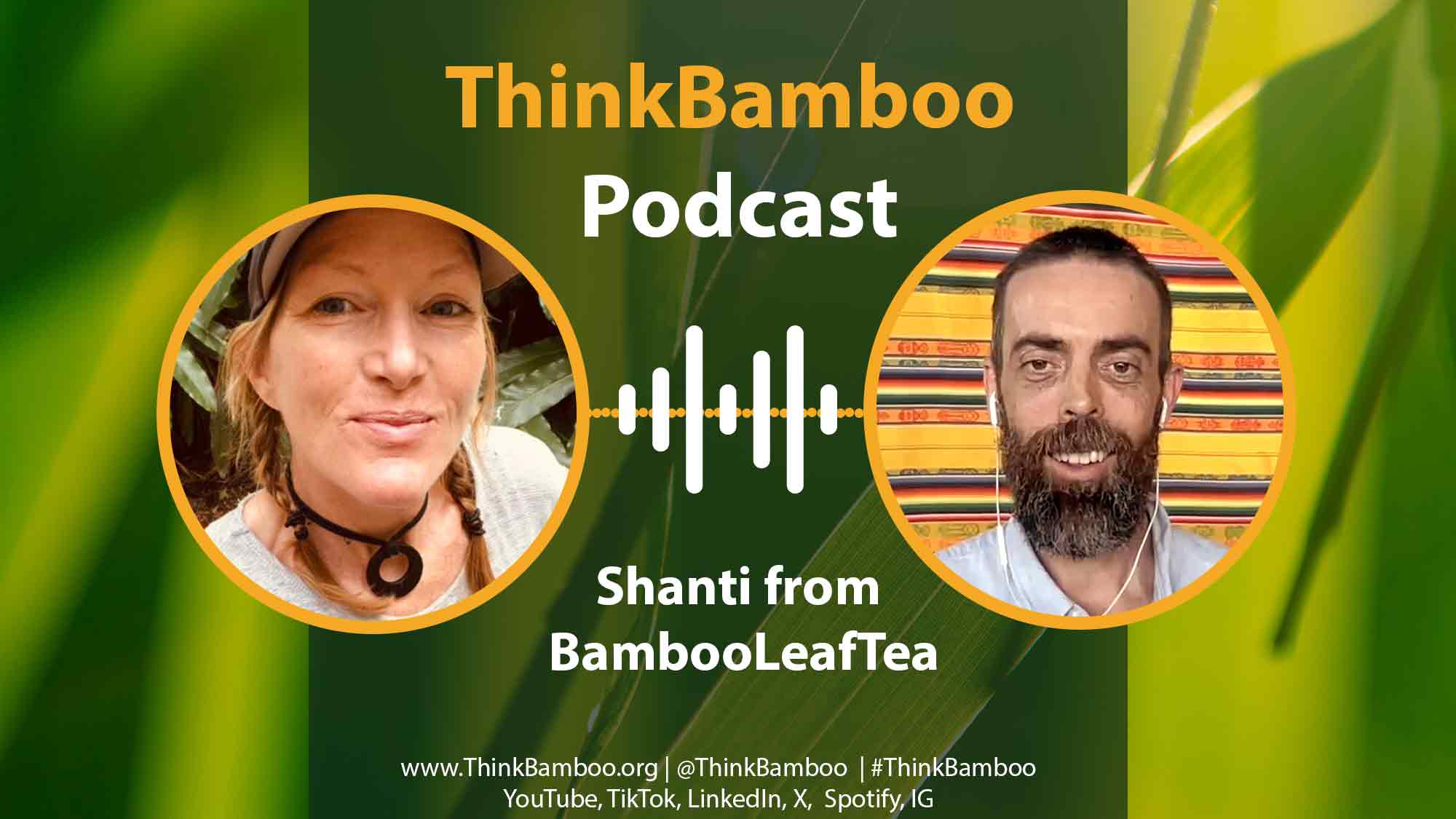 Bamboo and Silica: The Dynamic Duo of Life Regeneration - ThinkBamboo