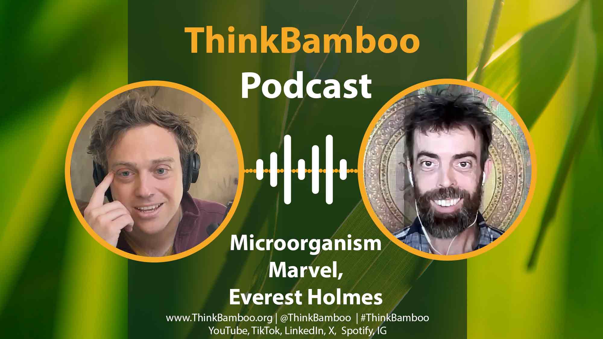 The Microorganism Marvel: How Nature's Tiny Allies Enhance Bamboo Growth - ThinkBamboo